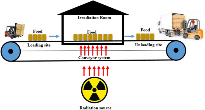 Radiation Technology in Food Preservation - Nuclear News Africa